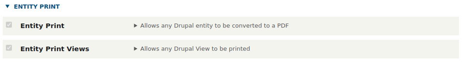 PDF in Drupal - Review of the Entity Print Module | Droptica